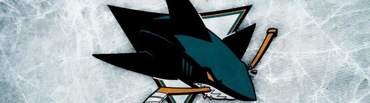 SF Sabercats – Let's Play Hockey!