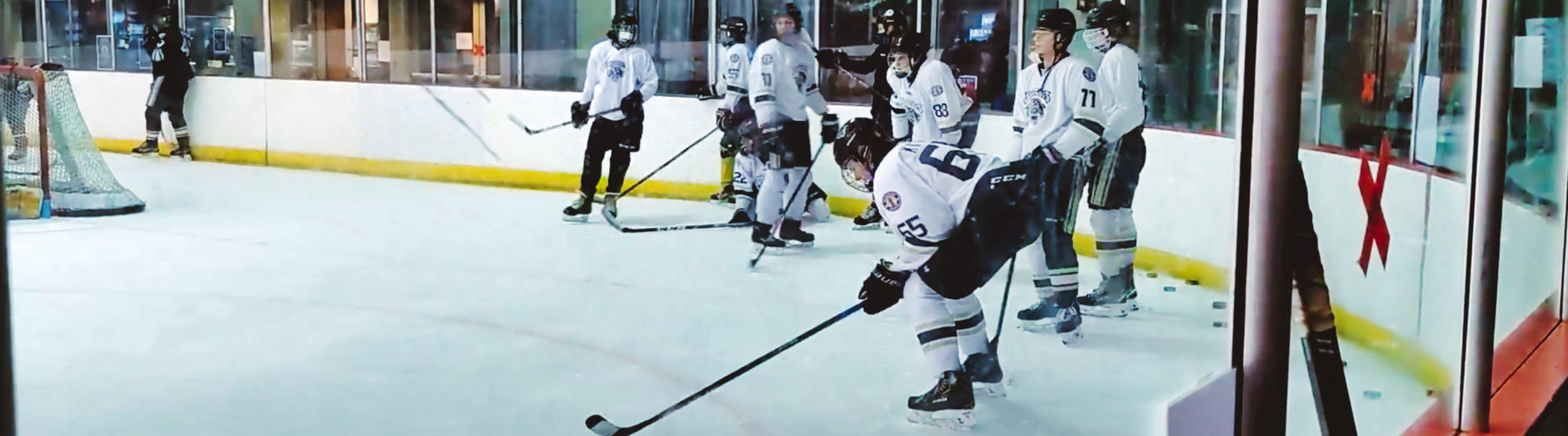 SF Sabercats – Let's Play Hockey!